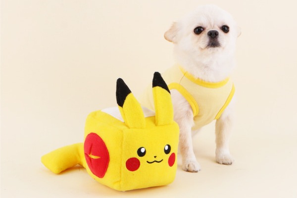 Kini Anda Bisa Mendandani Anjing Kesayangan Sebagai Pokemon Favorit ...
