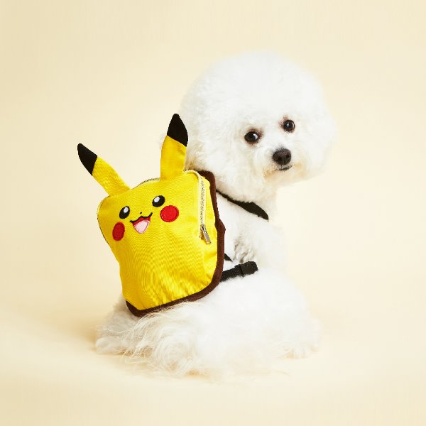 Kini Anda Bisa Mendandani Anjing Kesayangan Sebagai Pokemon Favorit ...